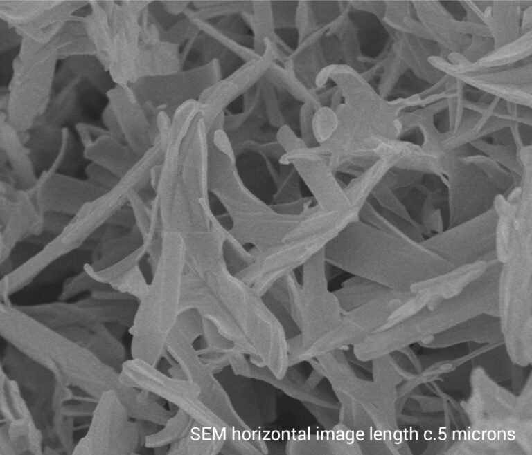 LSAM Technology - NanOlogy